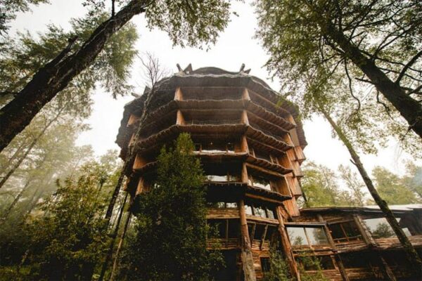 15 of the Most Unique Treehouses Around the World for Design Lovers ...