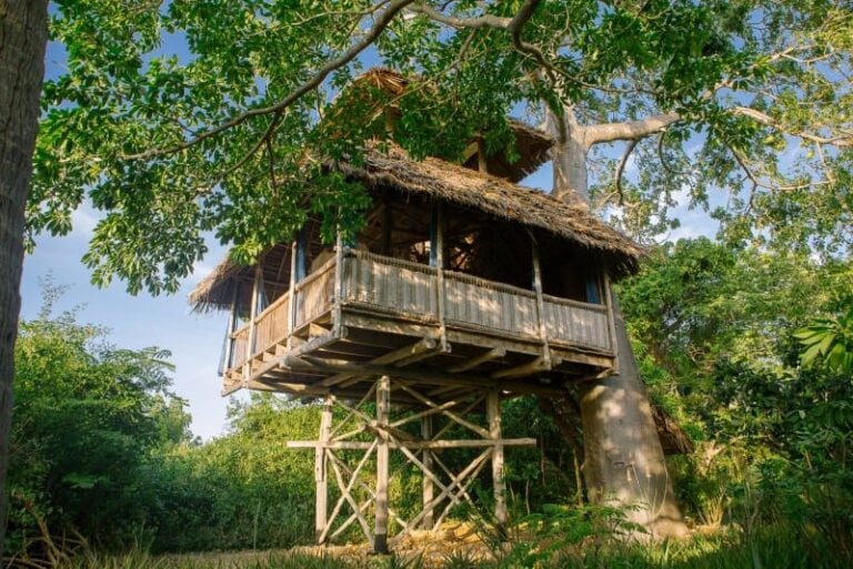 NNE Treehouse | Booking.com Treehouse Hotels, Treehouse Hotels in ...