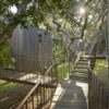 Elevate Your Stay: Discover Big Sur's Treetop Retreat at Post Ranch Inn
