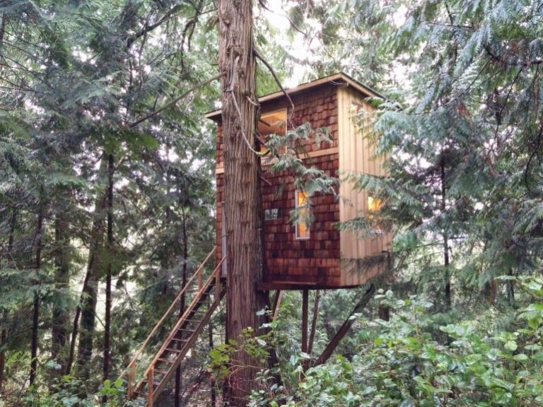 The Raven Loft: A tiny treehouse with lots of space (Vancouver, British ...