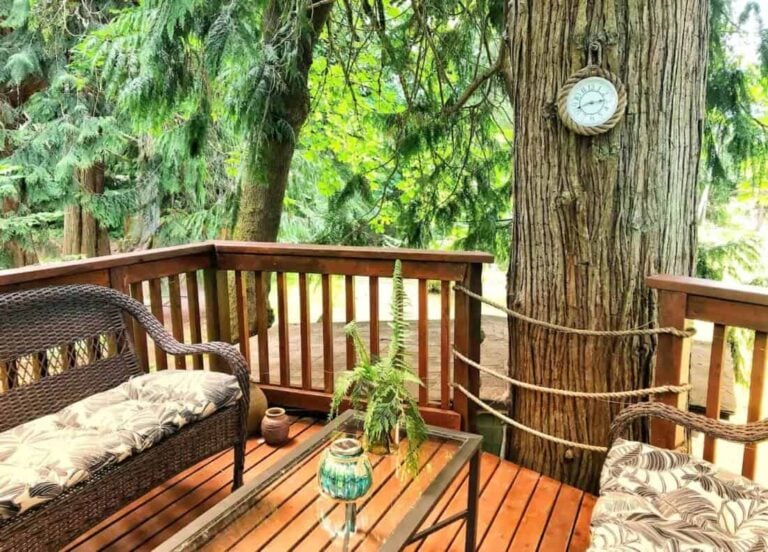 The Olympia Treehouse | Airbnb Treehouse in United States | Treehousemap