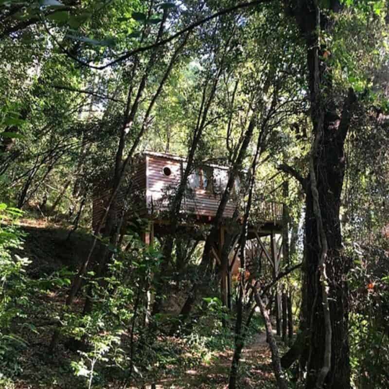 Orion Treehouses: A Jungle Book Themed Retreat in Southern France