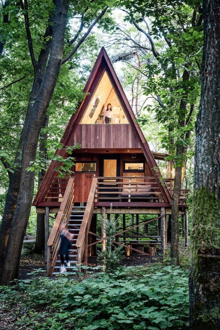 Treelodge | Other Treehouse Hotels in Belgium | Treehousemap