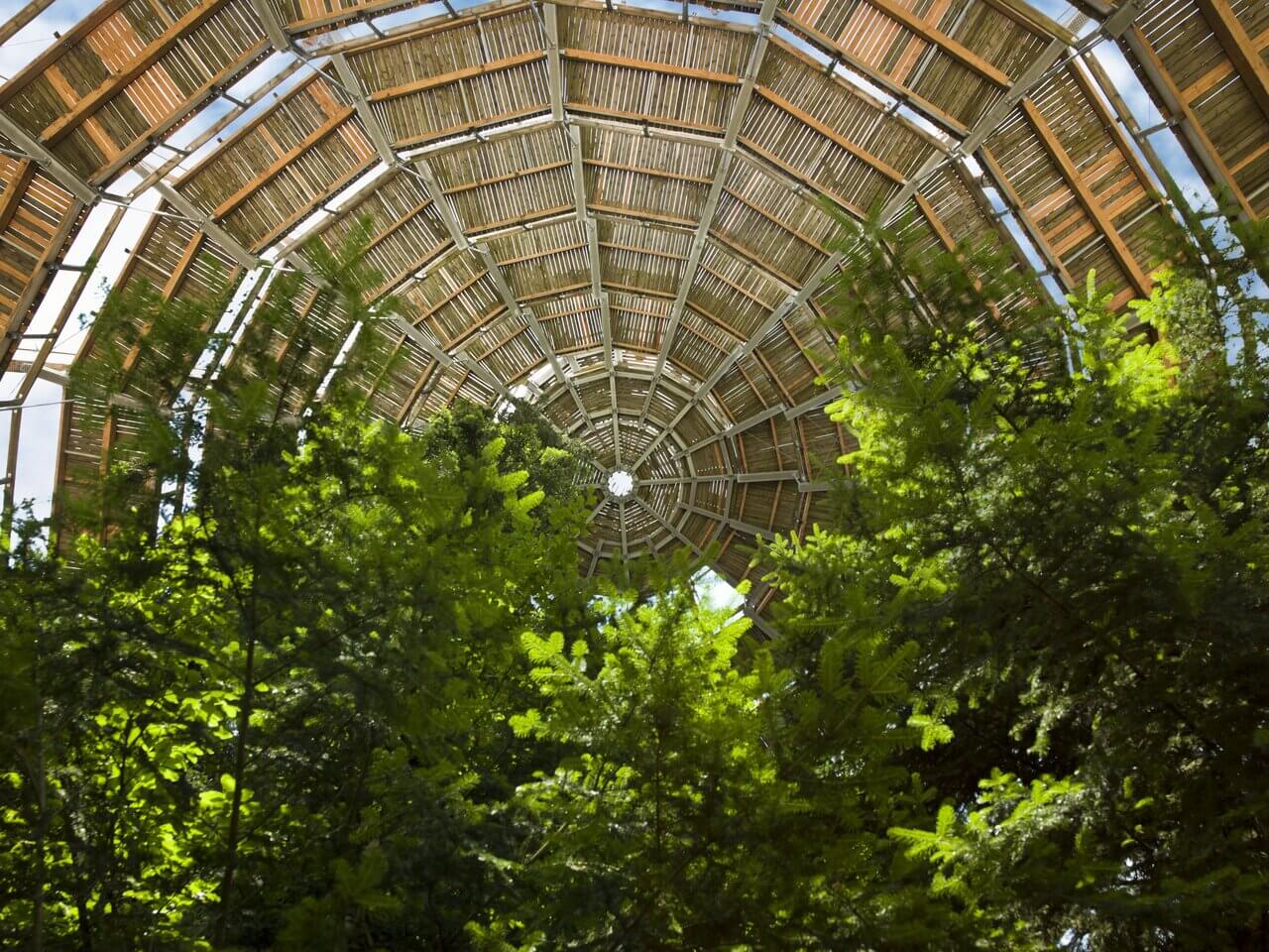 Baumwipfelpfad Bayerischer Wald | Treetop Walks in Germany | Treehousemap