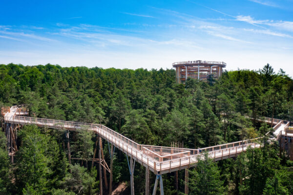 Chemin des Cîmes Alsace | Treetop Walks in France | Treehousemap