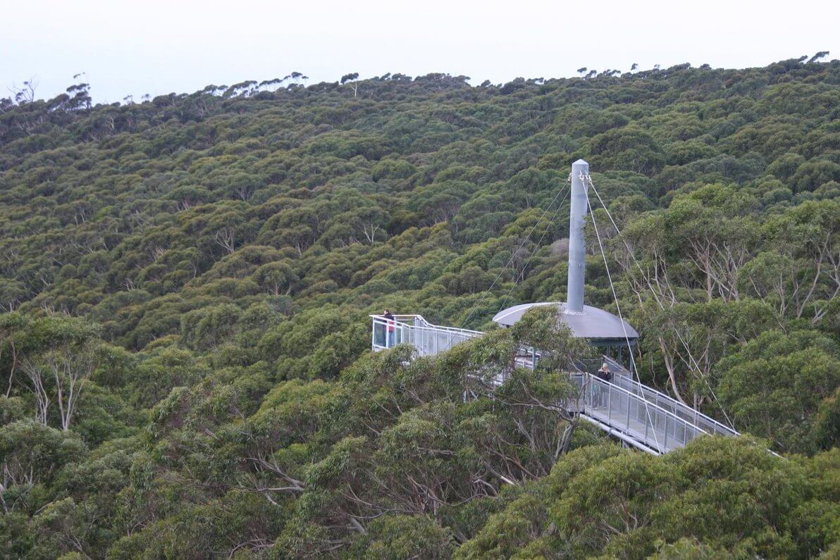Illawarra Fly Treetop Adventures | Treetop Walks in Australia ...