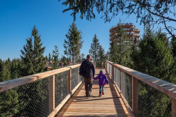 Treetop Walk Bachledka | Treetop Walks in Slovakia | Treehousemap