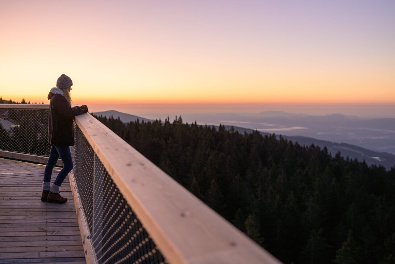 Treetop Walk Pohorje | Treetop Walks in Slovenia | Treehousemap