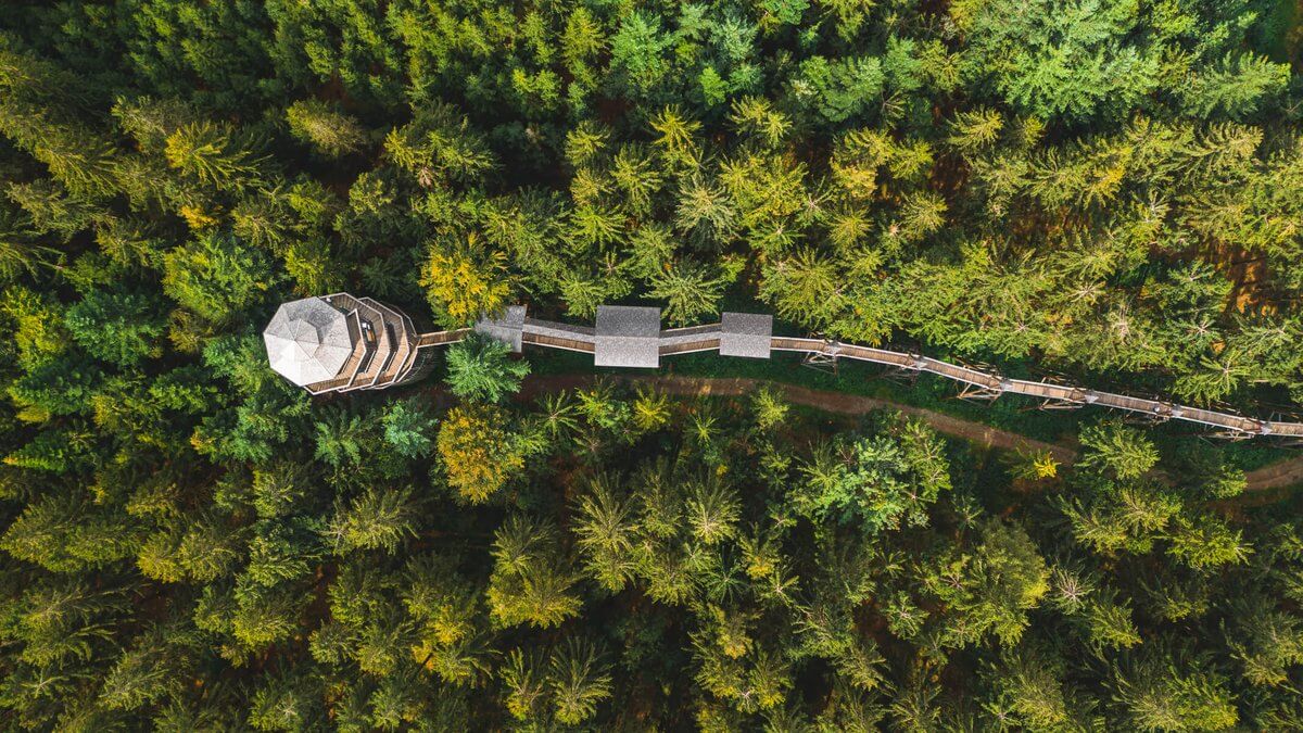 Baumkronenweg Kopfing | Treetop Walks in Austria | Treehousemap