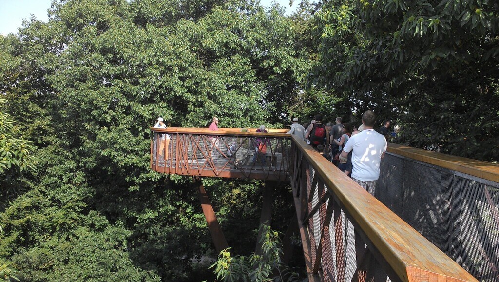 Kew Gardens Treetop Walkway | Treetop Walks in United Kingdom ...