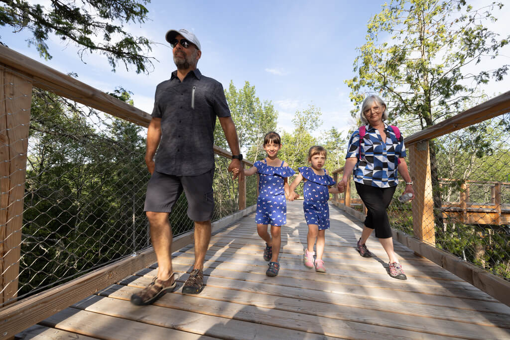 Sentier des Cimes Laurentides | Treetop Walks in Canada | Treehousemap
