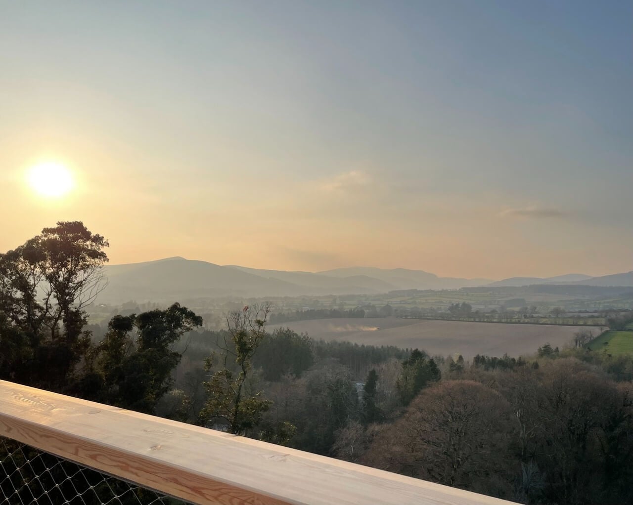 Beyond the Trees Avondale | Treetop Walks in Ireland | Treehousemap