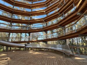 Beyond the Trees Avondale | Treetop Walks in Ireland | Treehousemap