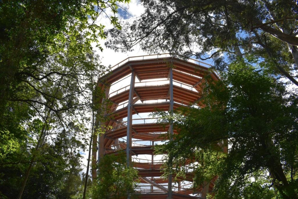 Beyond the Trees Avondale | Treetop Walks in Ireland | Treehousemap