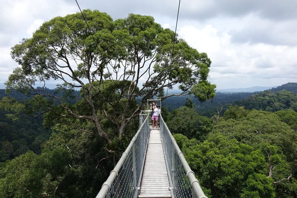 Ulu Temburong Canopy Walk | Treetop Walks in Brunei | Treehousemap