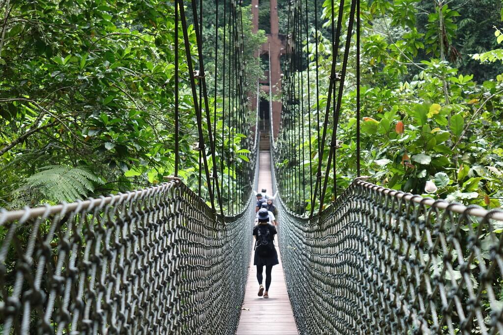 Ulu Temburong Canopy Walk | Treetop Walks in Brunei | Treehousemap