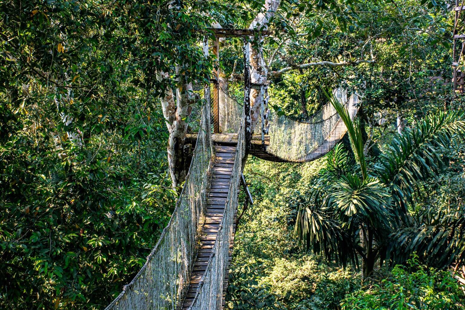 Inkaterra Canopy Walkway | Treetop Walks in Peru | Treehousemap