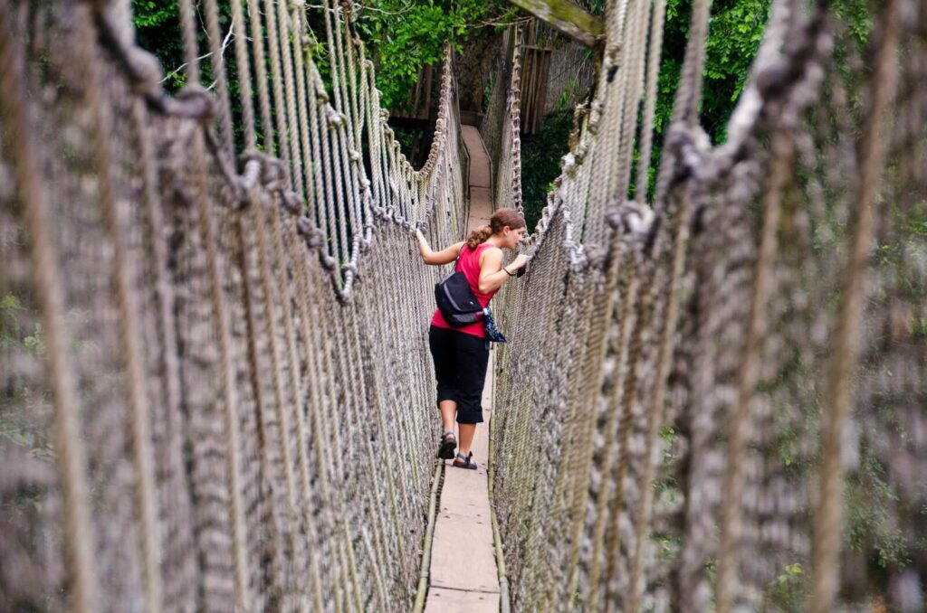 Kakum Canopy Walkway | Treetop Walks in Ghana | Treehousemap