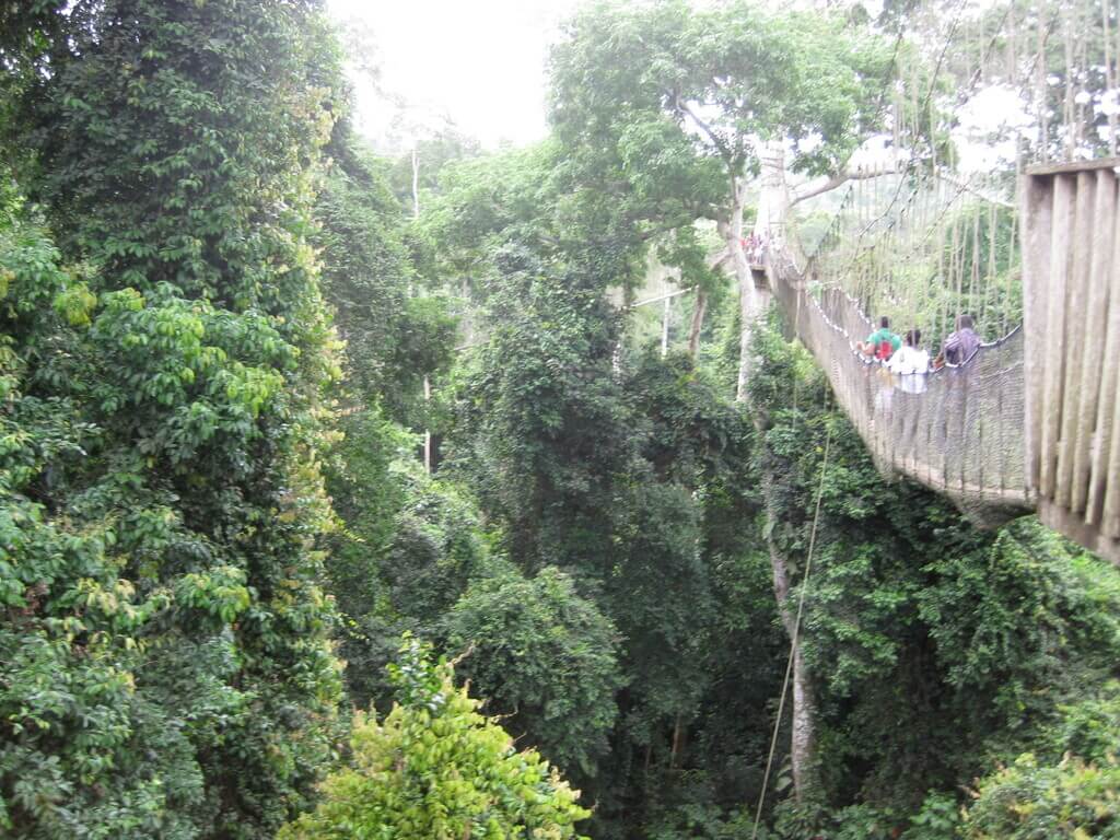 Kakum Canopy Walkway | Treetop Walks in Ghana | Treehousemap