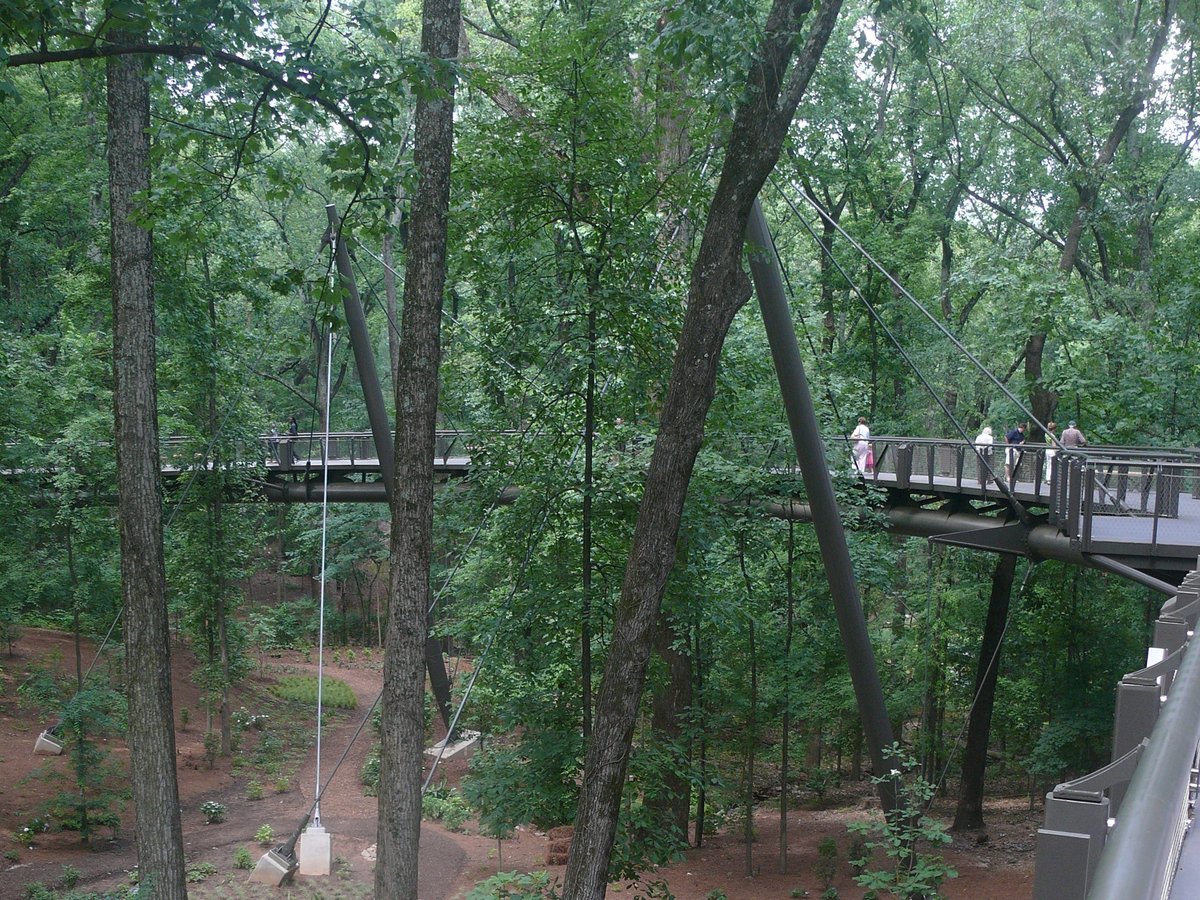 Kendeda Canopy Walk | Treetop Walks in United States | Treehousemap