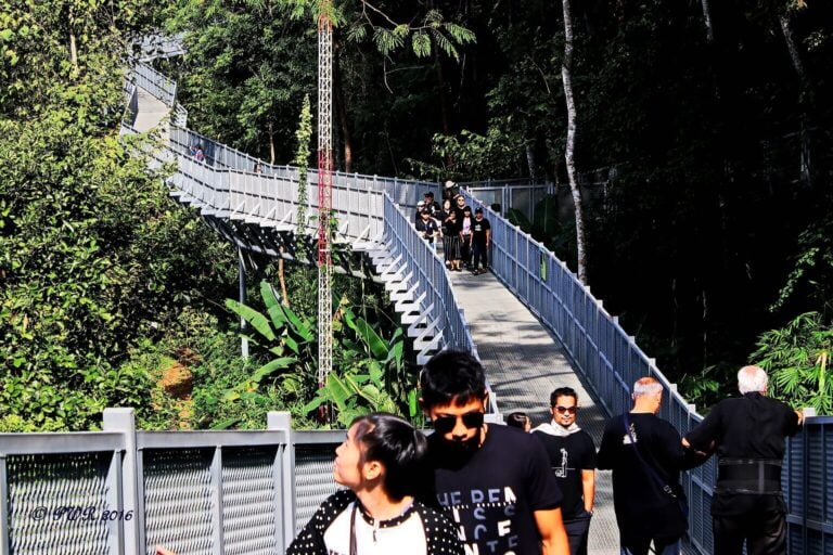 Queen Sirikit Botanic Garden Canopy Walkway | Treetop Walks in Thailand ...
