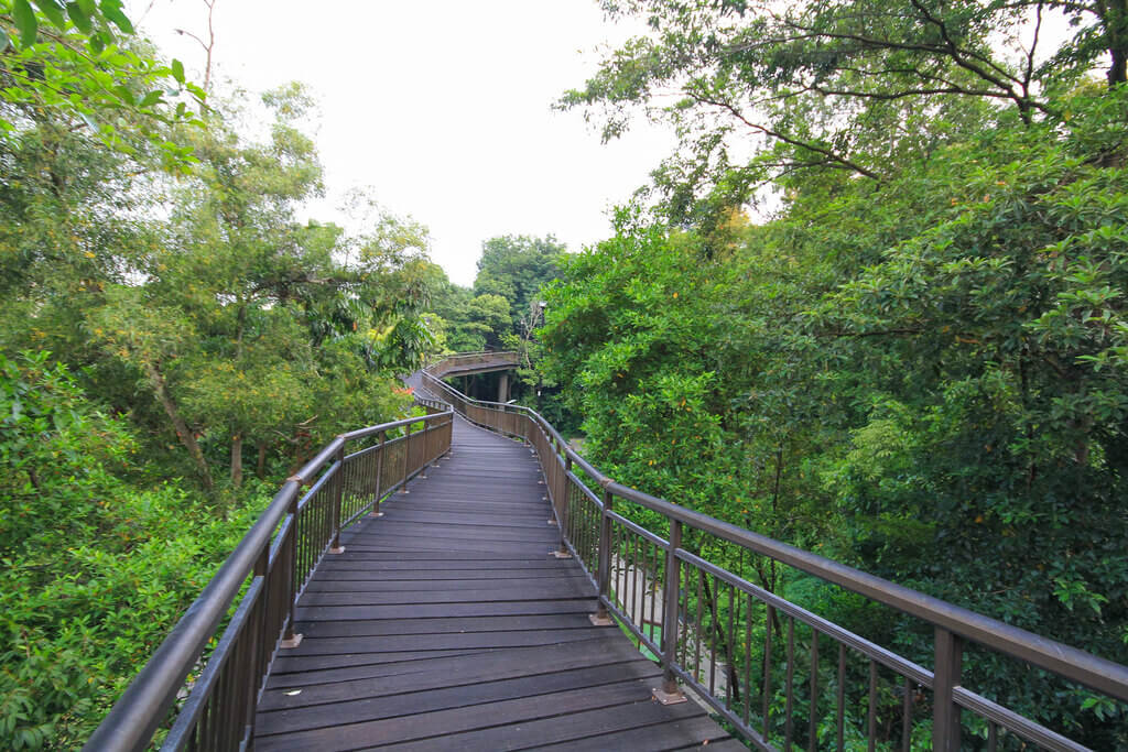 Southern Ridges Forest Walk | Treetop Walks in Singapore | Treehousemap