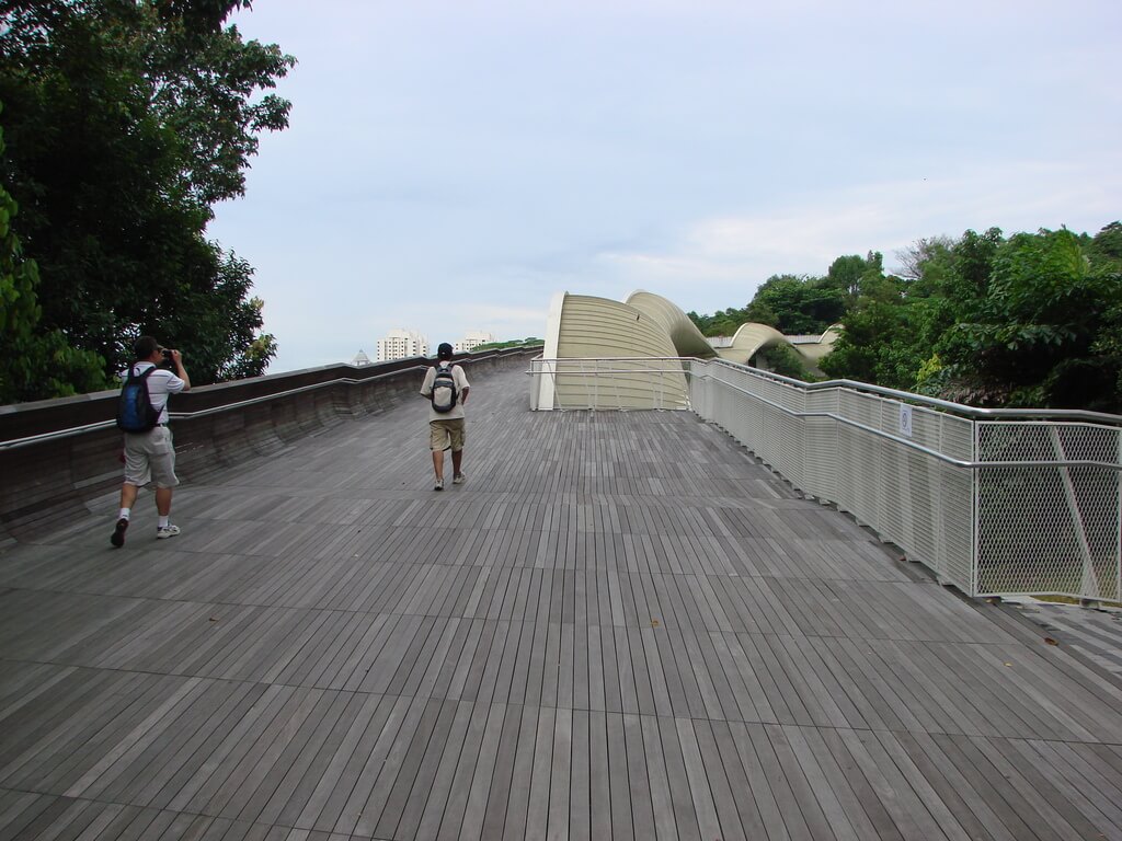 Southern Ridges Forest Walk | Treetop Walks in Singapore | Treehousemap